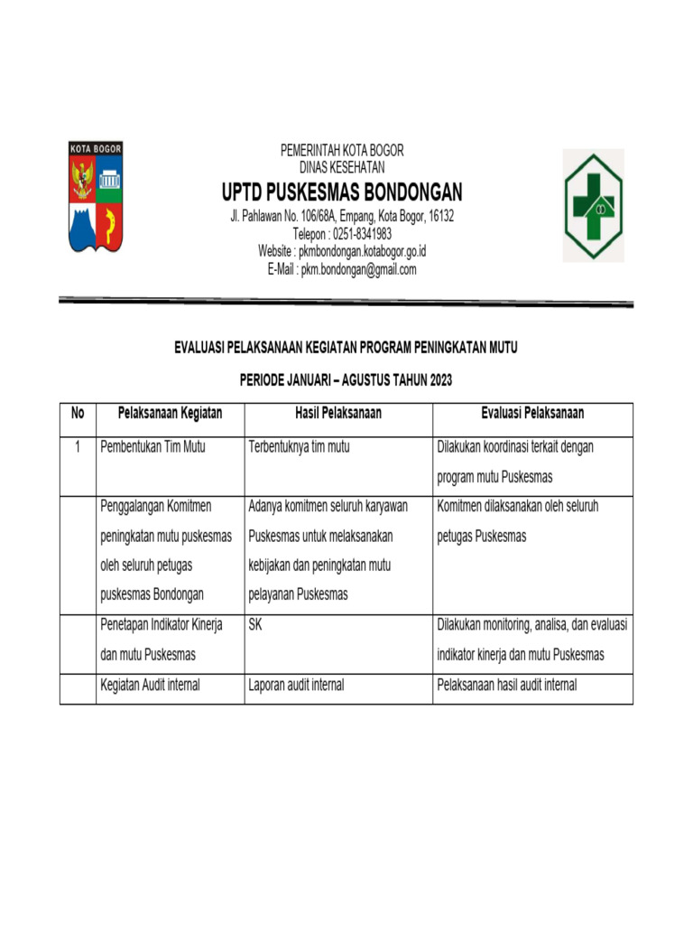 Evaluasi Pelaksanaan Program Peningkatan Mutu | PDF