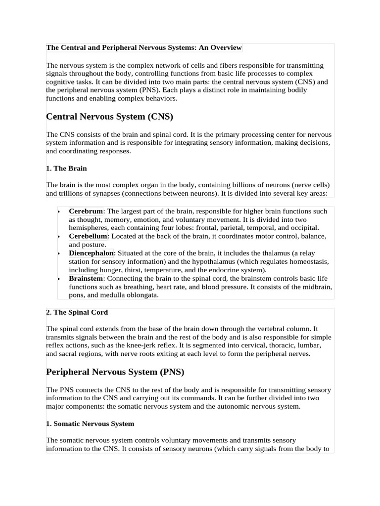 The Central and Peripheral Nervous Systems | PDF