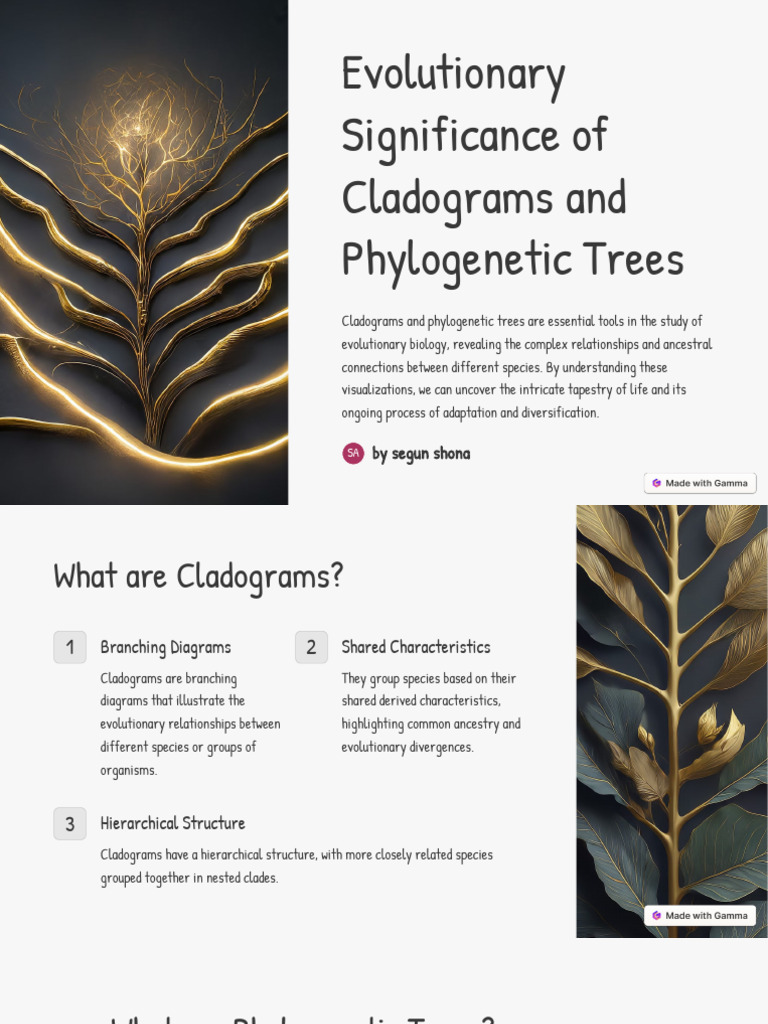 Generators Production Evolutionary Significance of Cladograms and ...