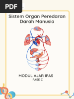 Sistem Peredaran Darah Kelas V | PDF | Karier & Perkembangan | Komputer
