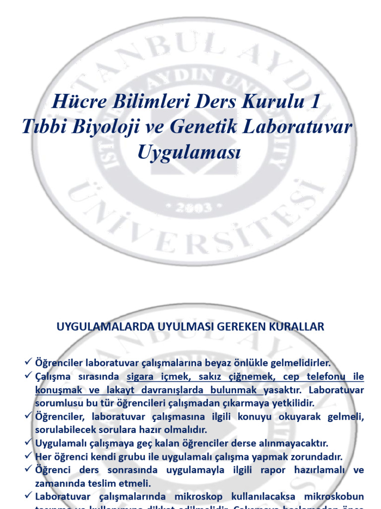 TBG Lab I | PDF