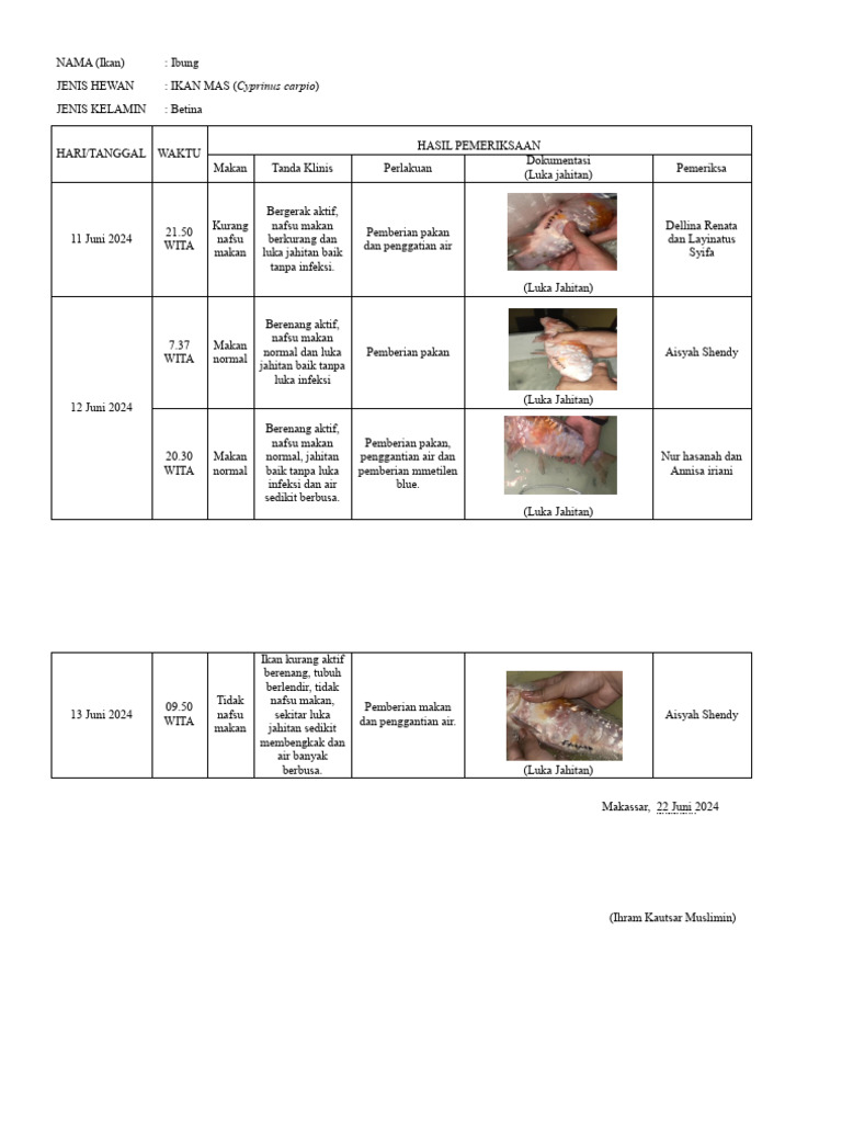 Ambulator Ikan | PDF