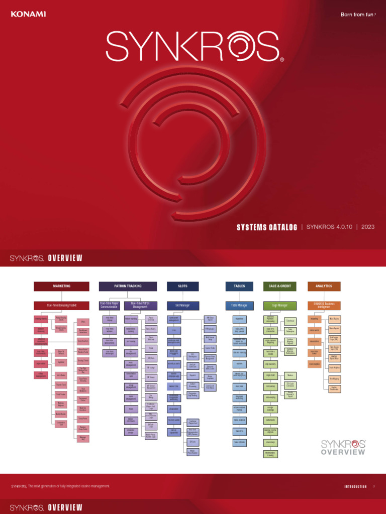 Synkros 2024 Brochure | PDF