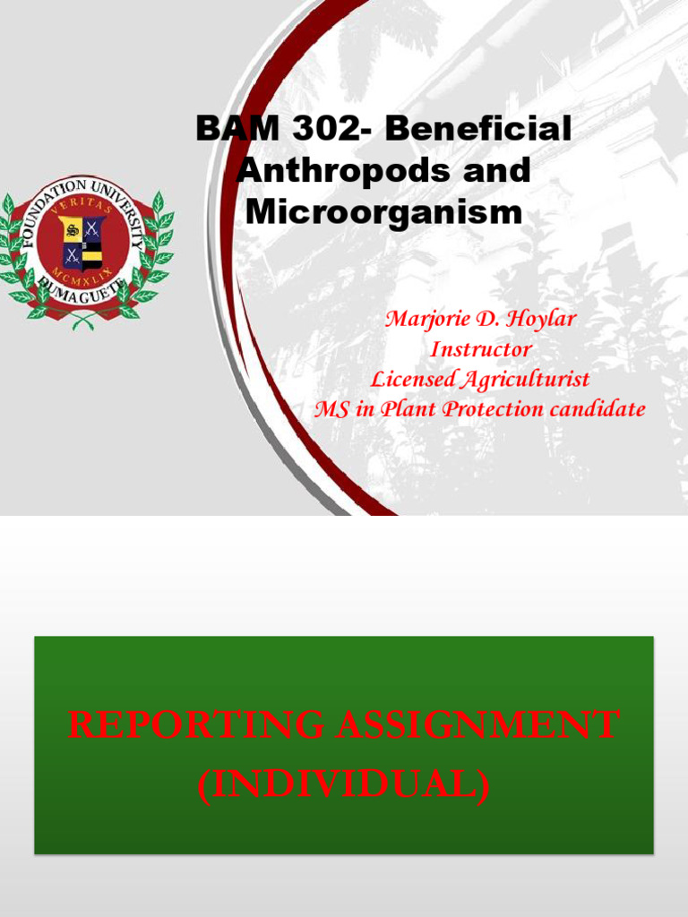 BAM 302 Reporting | PDF