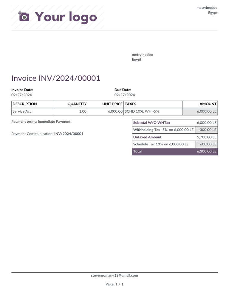 Inv 2024 00001 | PDF