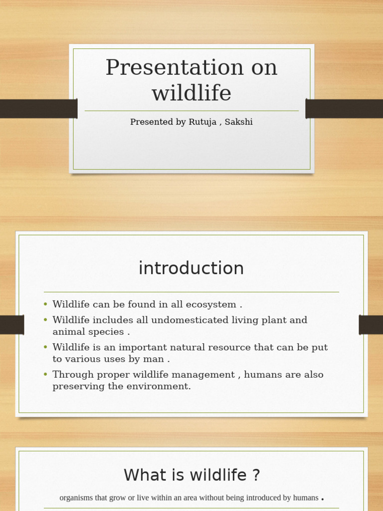 Presentation On Wildlife | PDF