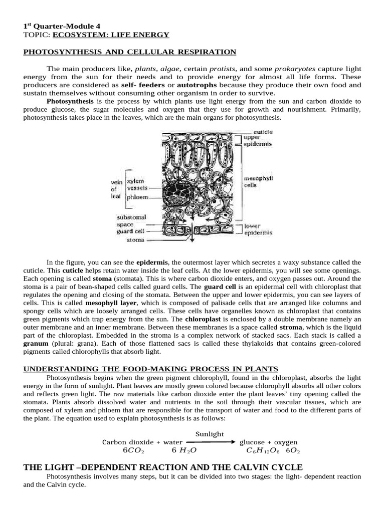 Science 9 - Q1 - M4 - Ecosystem | PDF