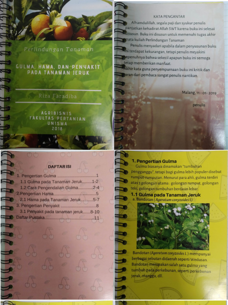 Contoh Tugas Akhir Praktikum DPT '22 | PDF