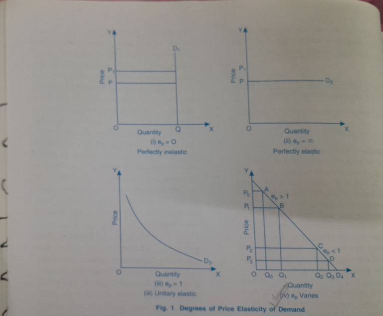 Economics Degrees of Price Elasticity of Demand | PDF