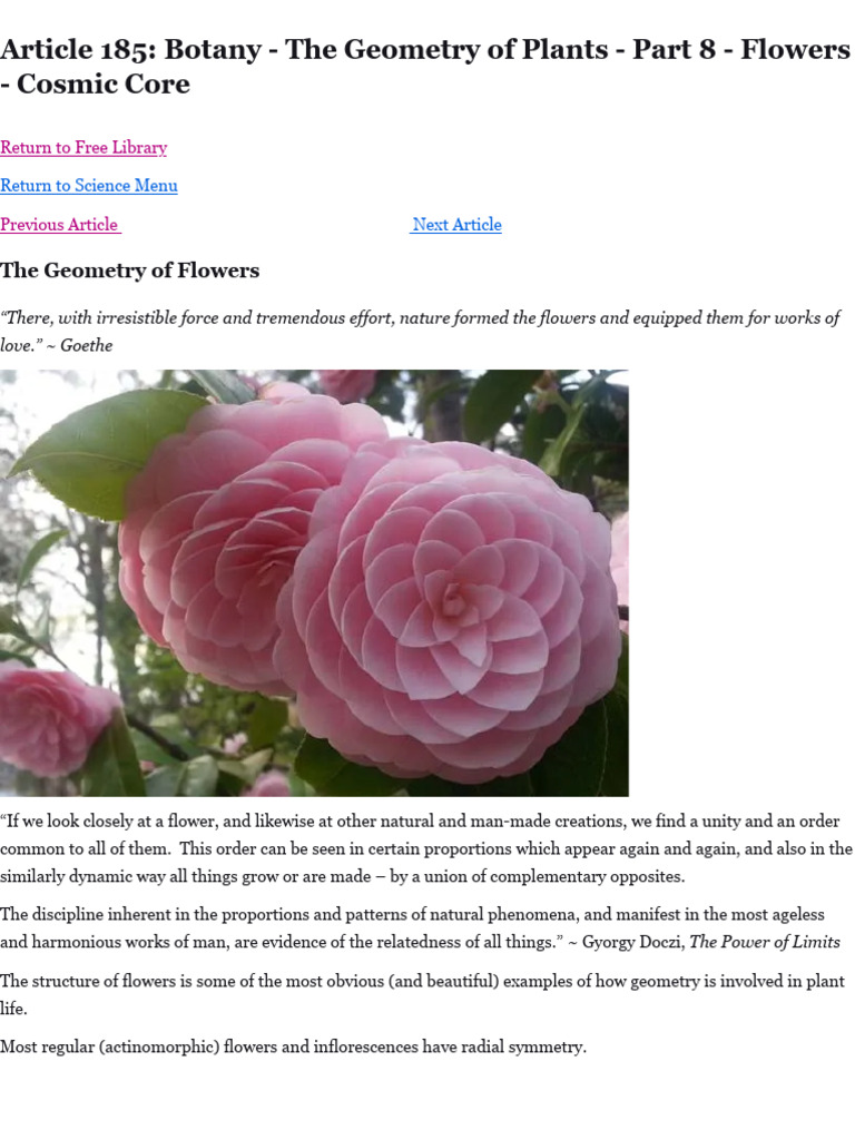 The Geometry of Plants - Flowers - Cosmic Core | PDF