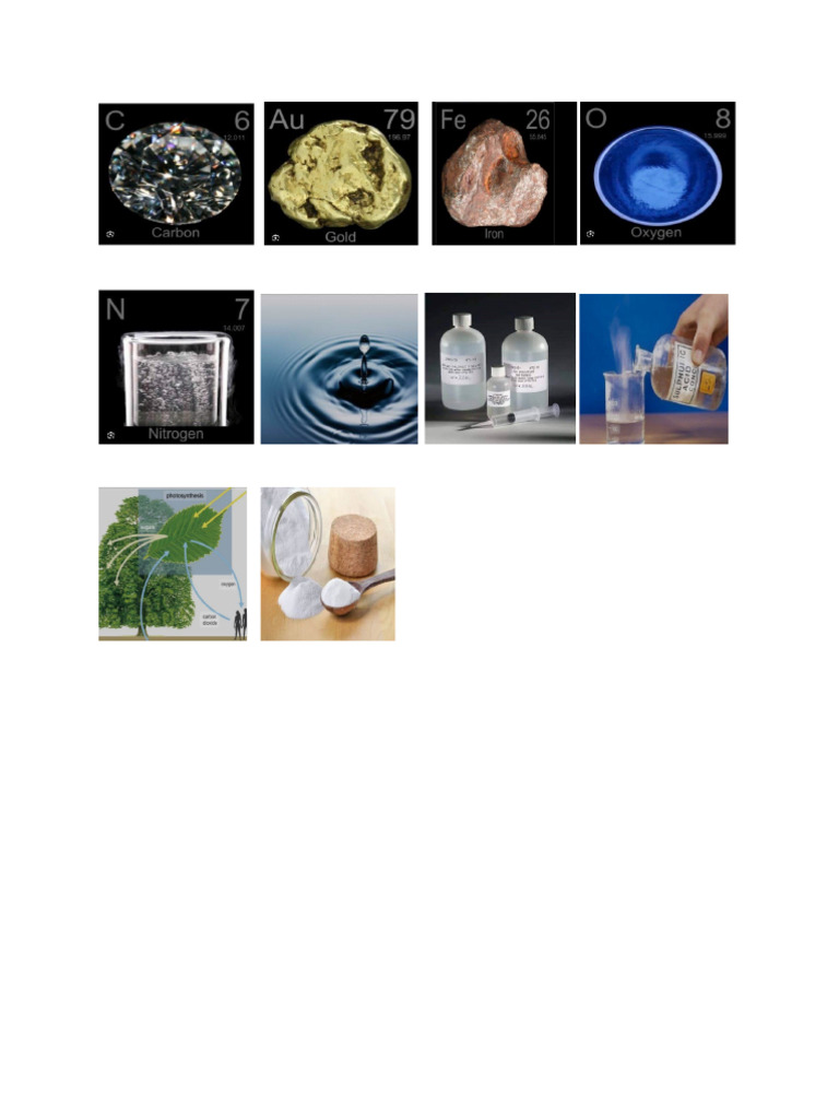 DANI's Science | PDF