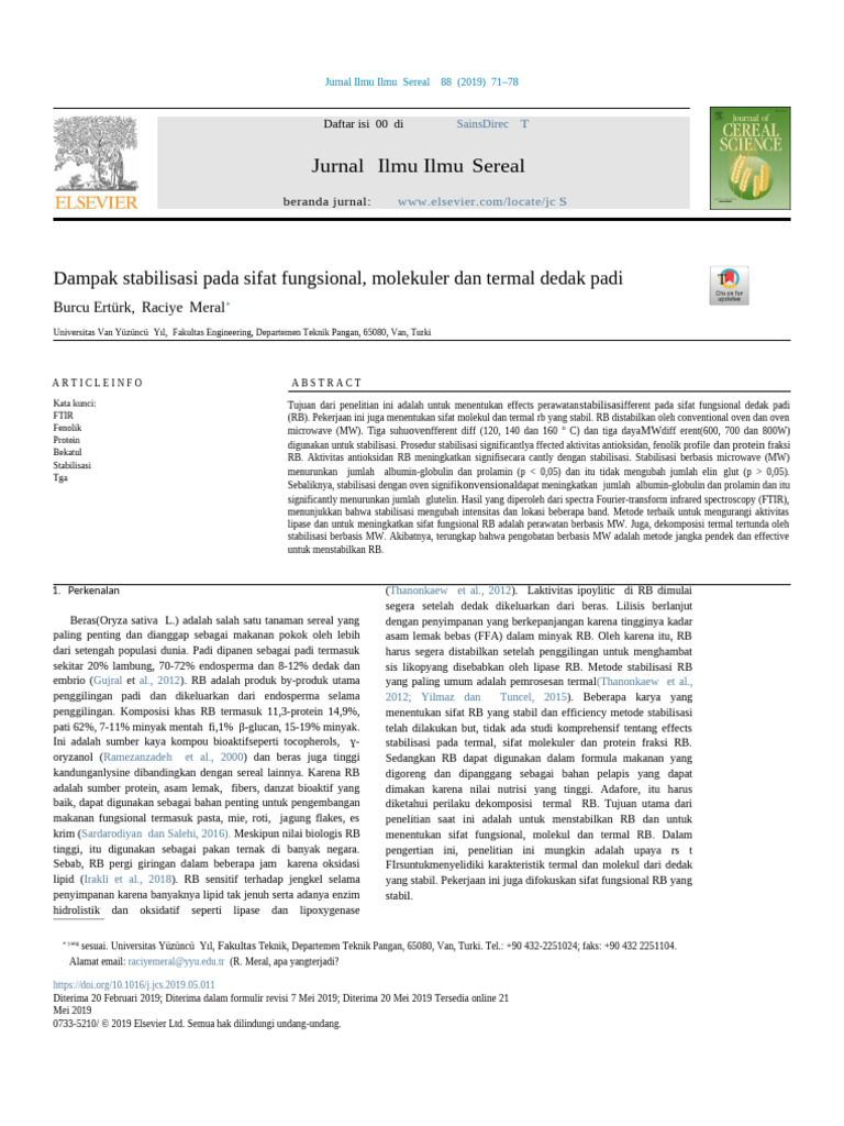 The Impact of Stabilization On Functional | PDF