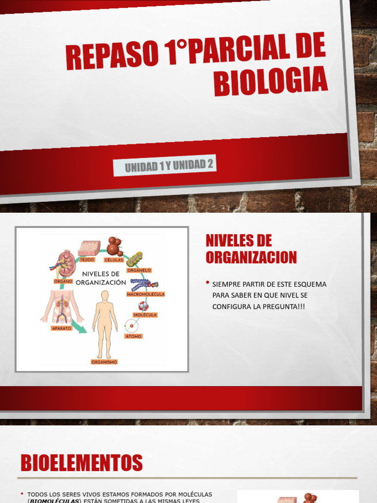 Repaso Unidad 1 y 2 BIOLOGIA HUMANA Dra Veronica Fasulo y DR Carlos ...