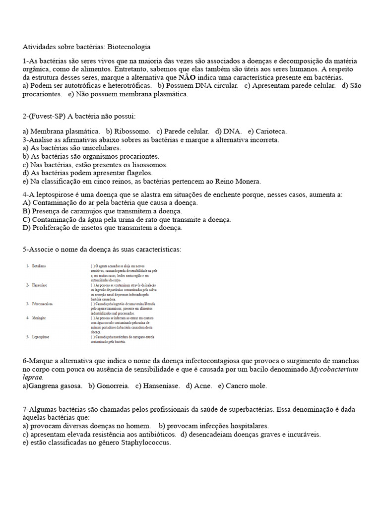 Atividades Sobre Bact-Rias | PDF