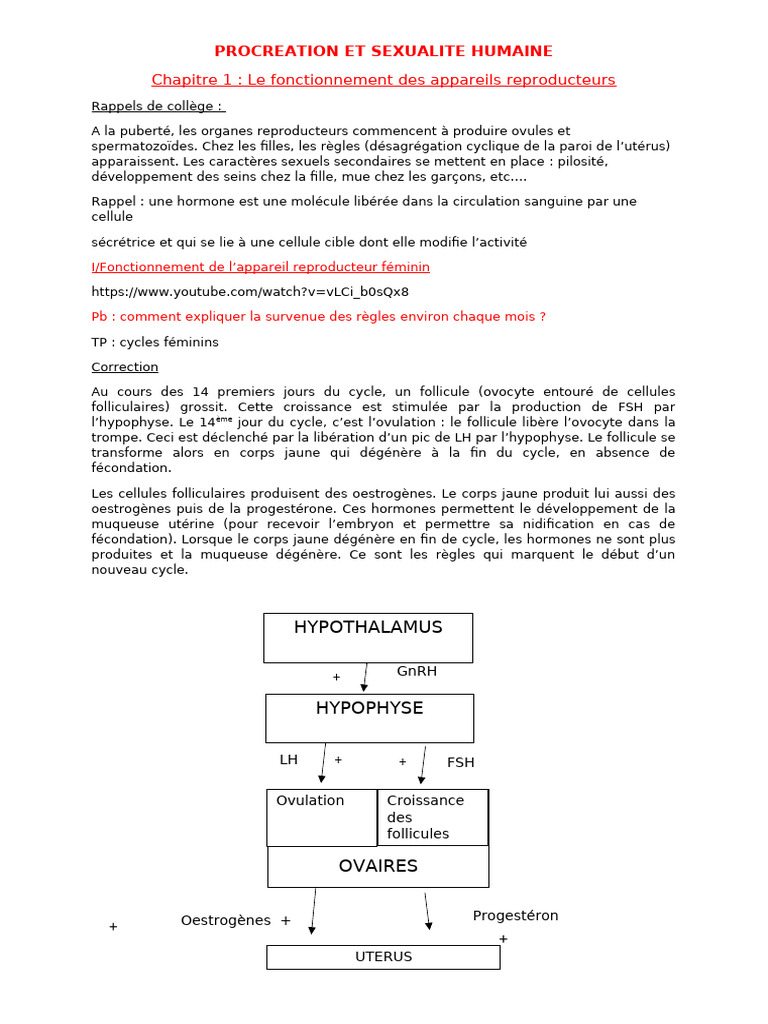 Cours Procréation 2023 2J 3 | PDF