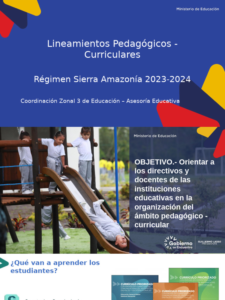 Lineamientos Pedagogicos - Curriculares | PDF | Plan de estudios | Aprendizaje