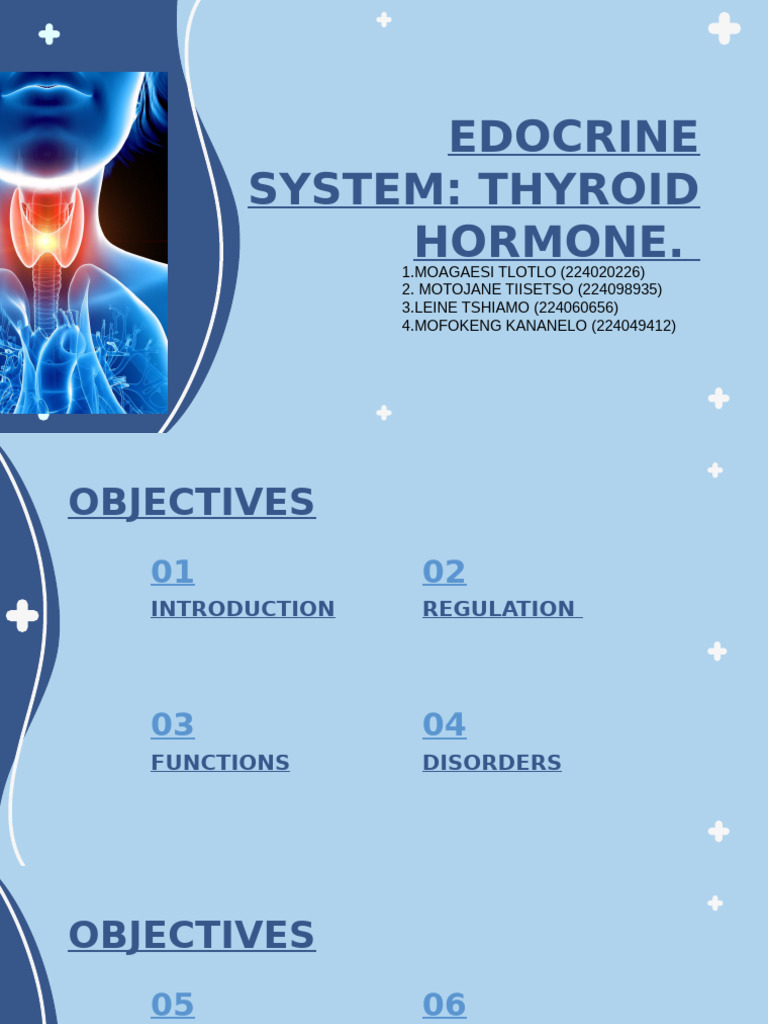 Presentation Anatomy 1 | PDF