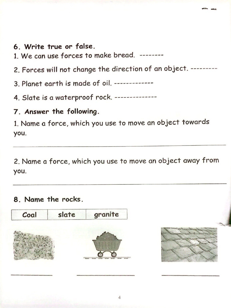 Science Revision 2-Term 1 - Grade 1 | PDF
