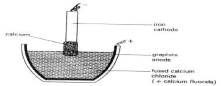 Calcium Extraction Diagram | PDF