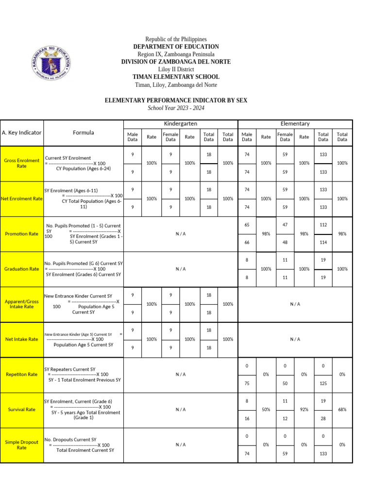 Template For Performance Indicator 2023 2024 | PDF