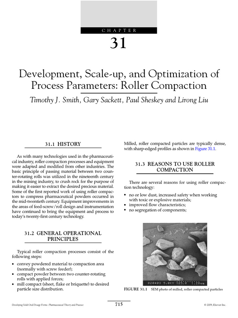 Development, Scale-Up, and Optimization of Process Parameters. Roller ...