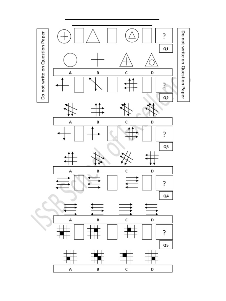 Int Test Non Verbal 8 | PDF