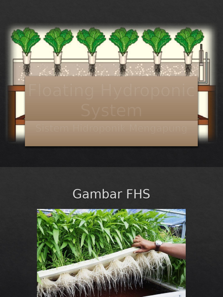 Floating Hydroponic System | PDF