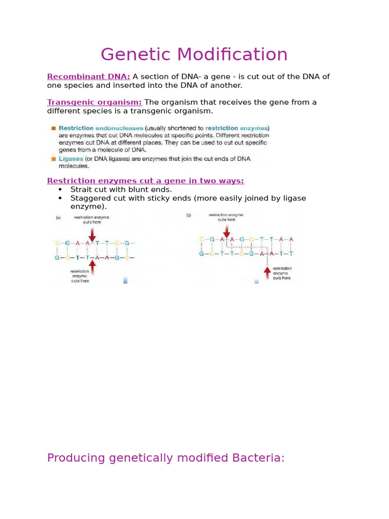 Ch22 Genetic Modification | PDF