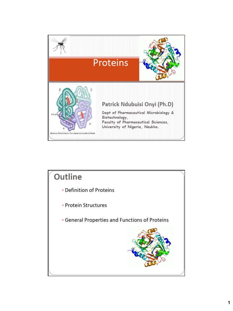 PROTEINS | PDF