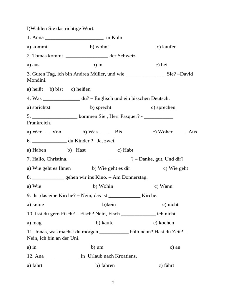 A1 1 Test | PDF