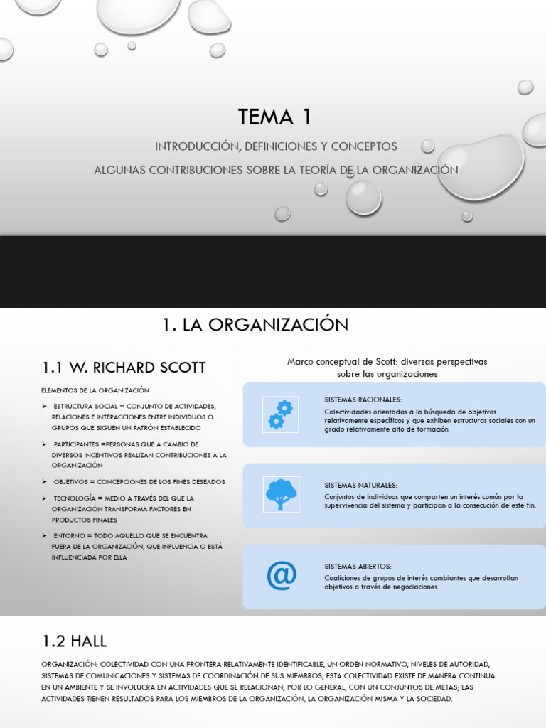 Tema 1 Presentación EE | PDF