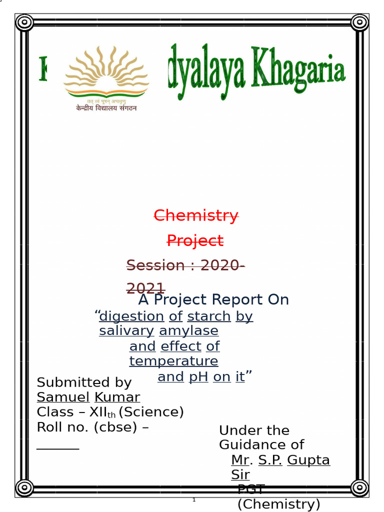 Class 12 Chemistry Project on Amylase | PDF | Digestion | Saliva