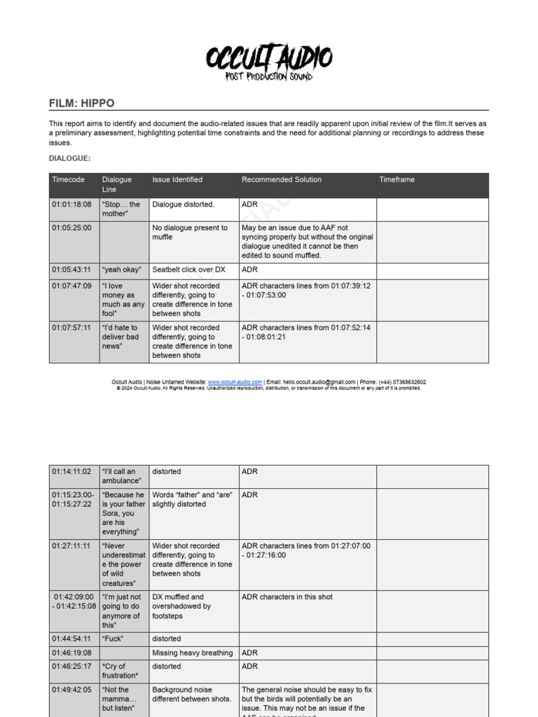 HIPPO Film Audio Report | PDF