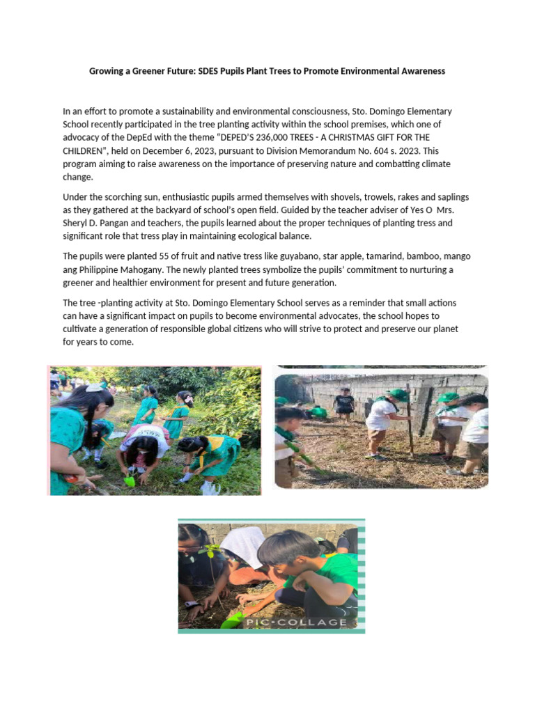 News Tree Planting | PDF