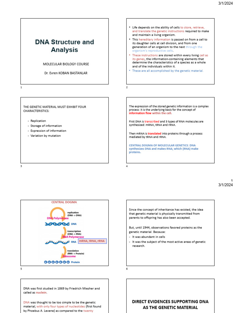 DNA Structure and Analysis | PDF