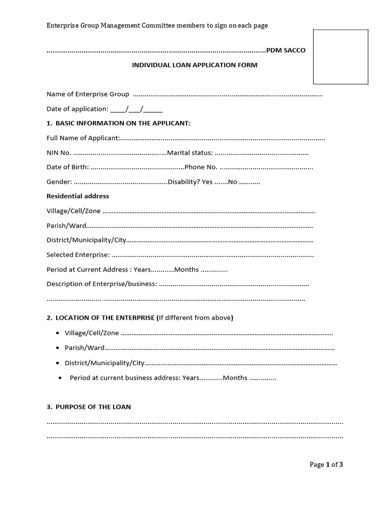 PDM Individual Loan Application Form | PDF | Loans
