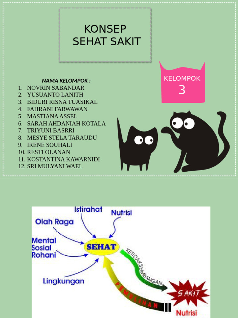 Kelompok 3 Konsep Sehat Sakit | PDF