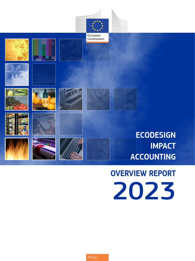 2023 EC EIA Overview Report | PDF
