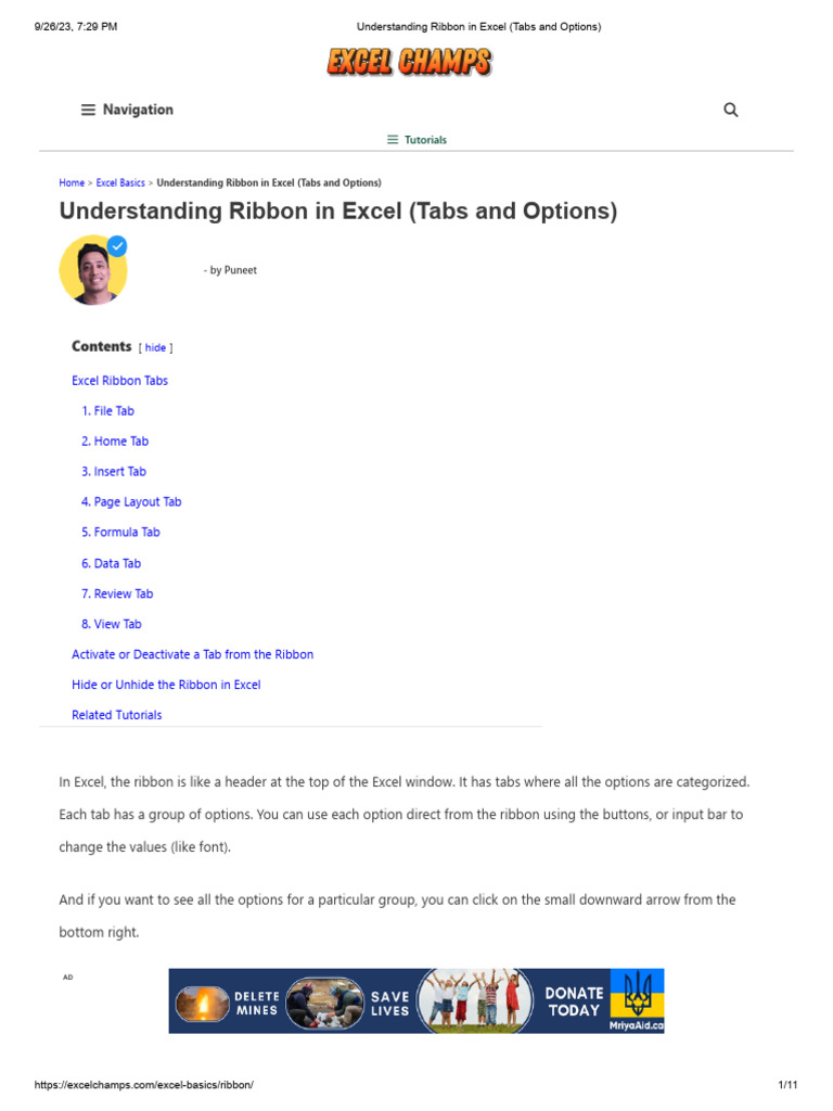 The Excel Ribbon | PDF