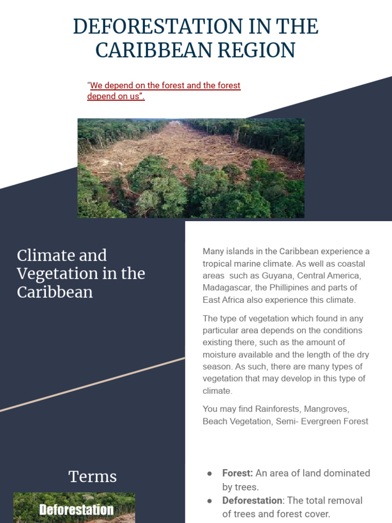 Deforestation | PDF