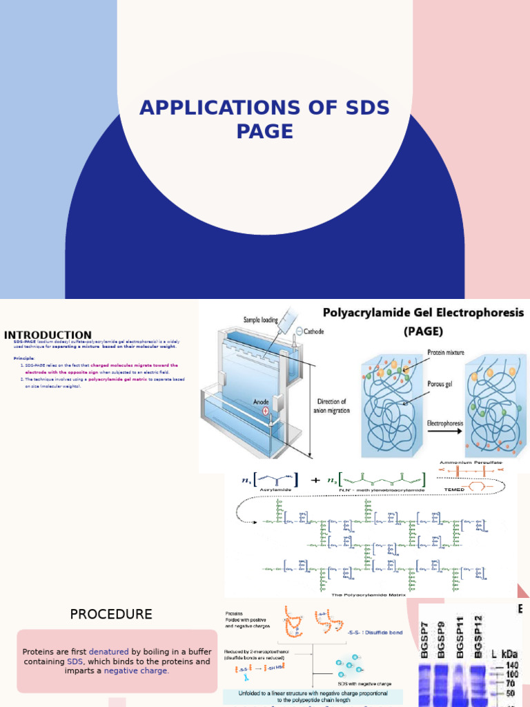 Applications of SDS PAGE | PDF