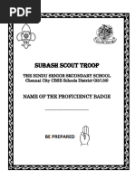 Proficiency Badges | PDF | Scouting