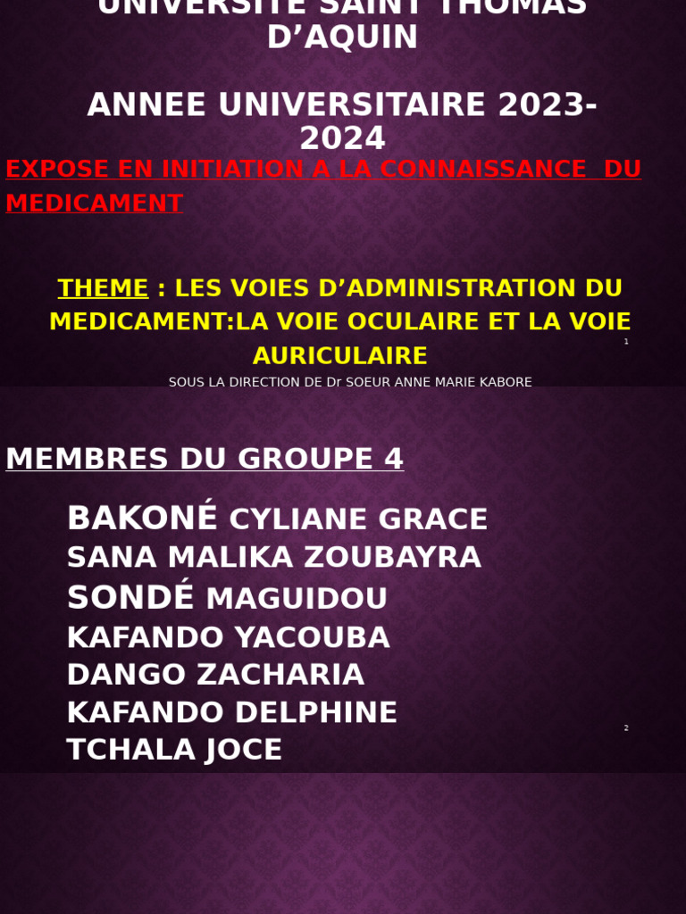 Groupe 4 ICM | PDF