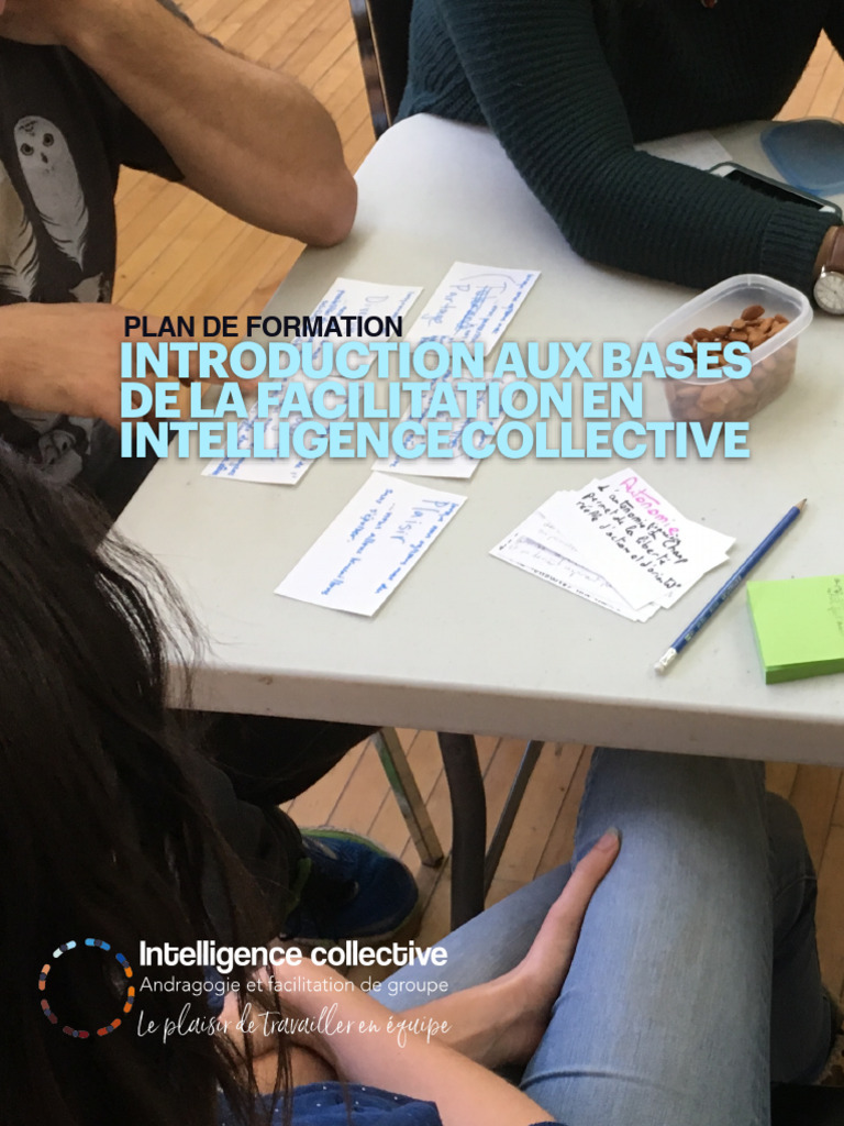 Introduction Aux Bases de La Facilitation en Intelligence Collective | PDF