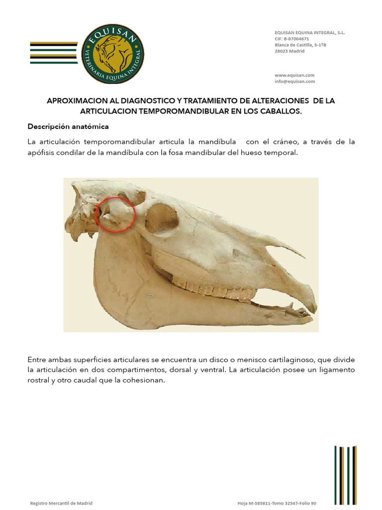 Tempman DX - Ytx. de Alter. de La ATM. | PDF