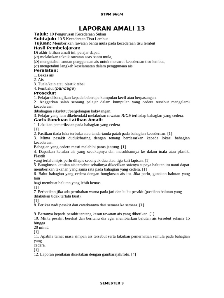 Laporan Amali 13 | PDF