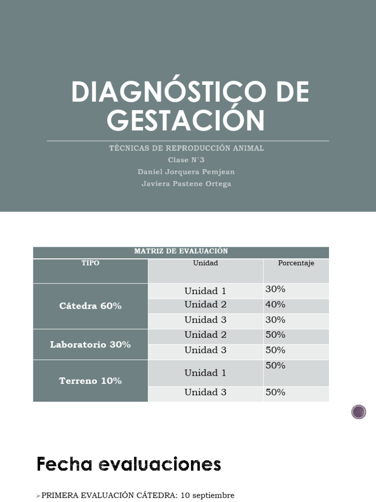 Clase 3 1 - 240826 - 212115 | PDF