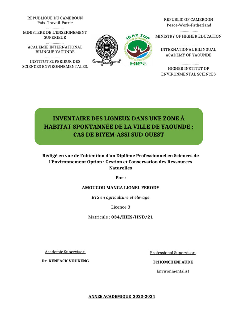 RAPPORT FINAL Ferody (Enregistré Automatiquement) | PDF