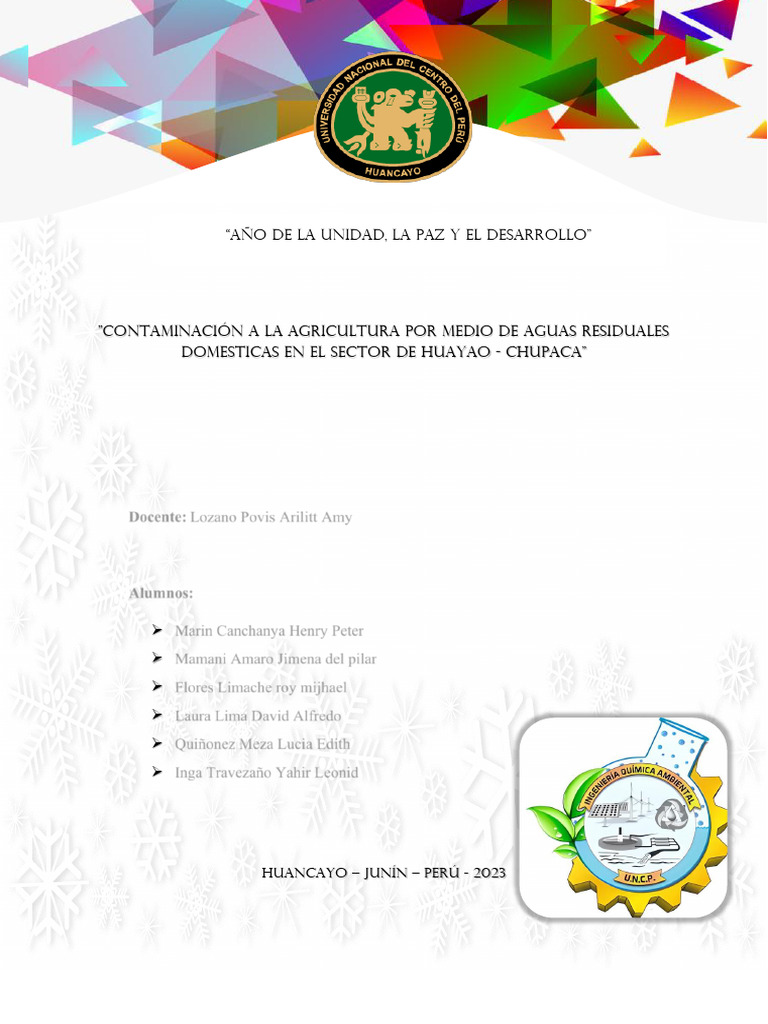 Proyecto Final | PDF