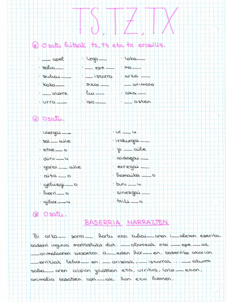 TS TZ TX Lantzeko Ariketak | PDF